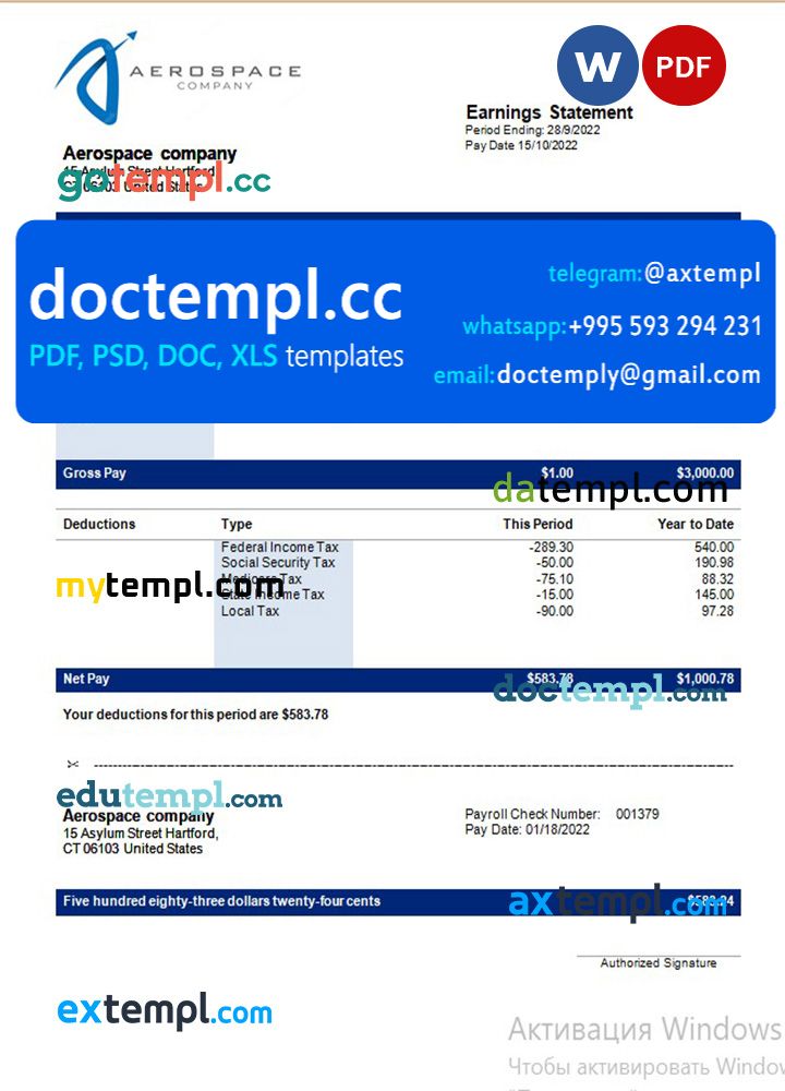 Aerospace company earning statement template in Word and PDF formats