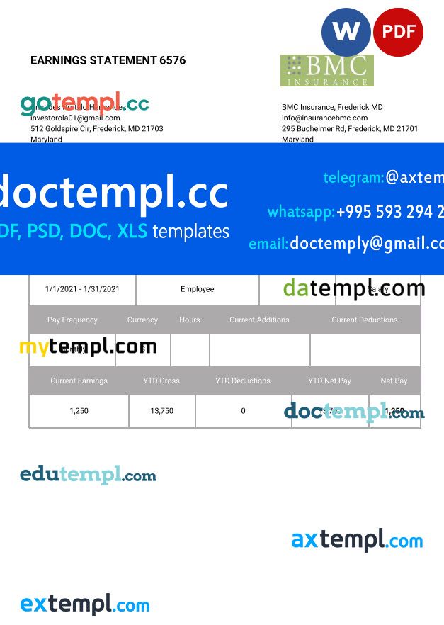 BMC INSURANCE earnings statement Word and PDF template