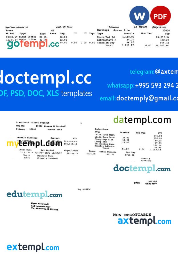 BEE-CLEAN Industrial Ltd. pay stub Word and PDF template