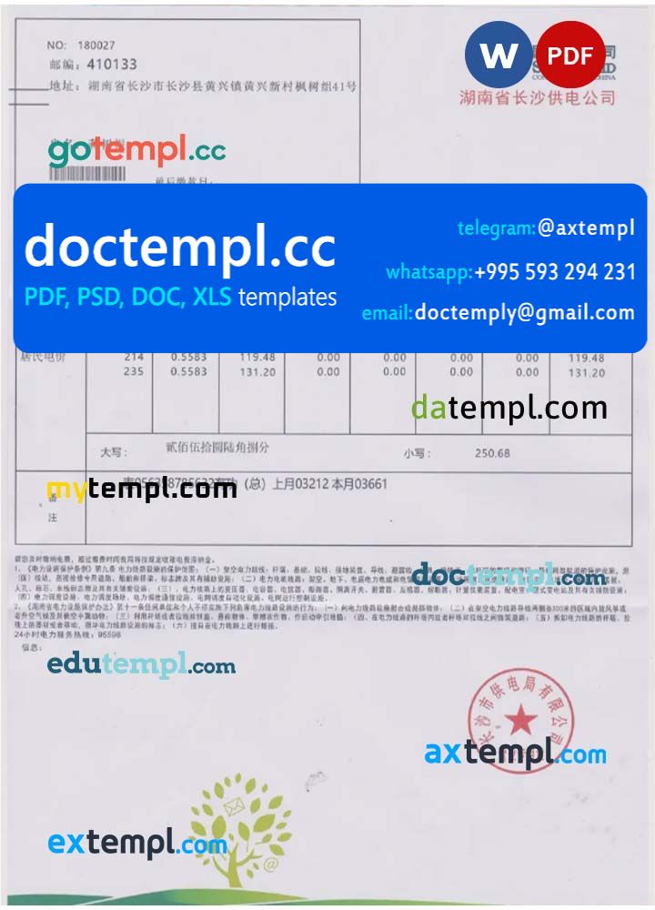 CHINA STATE POWER GRID utility bill Word and PDF template
