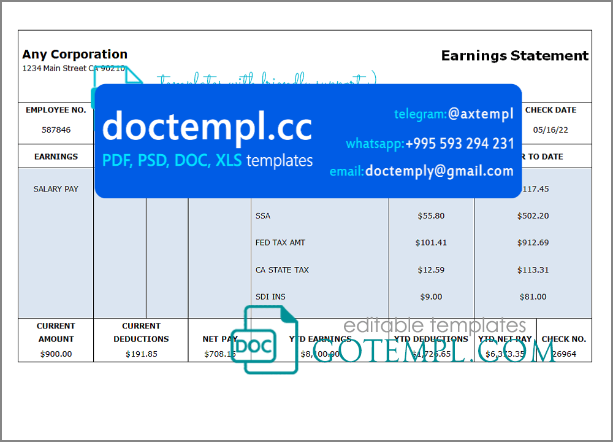 # focus point pay stub template in Word and PDF format