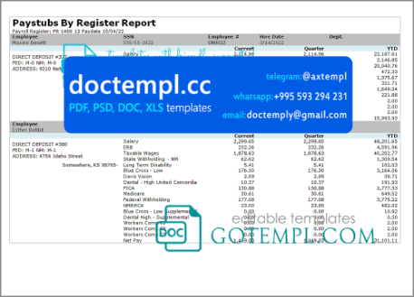 # well cared pay stub template in Word and PDF format
