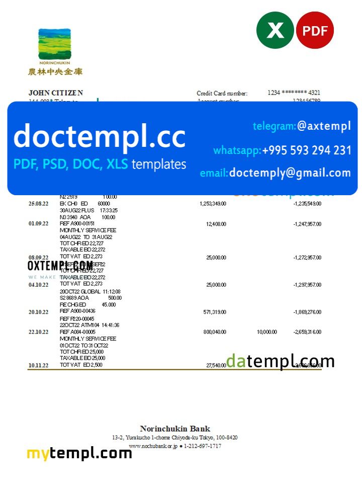 Japan Norinchukin bank statement Excel and PDF template