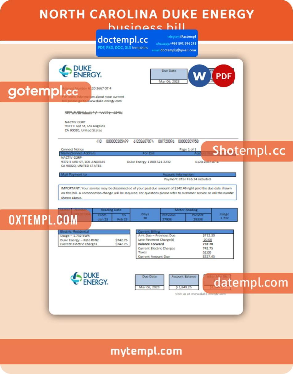 North Carolina Duke Energy business utility bill, Word and PDF template ...