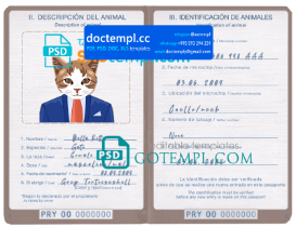 Paraguay cat (animal, pet) passport PSD template, fully editable