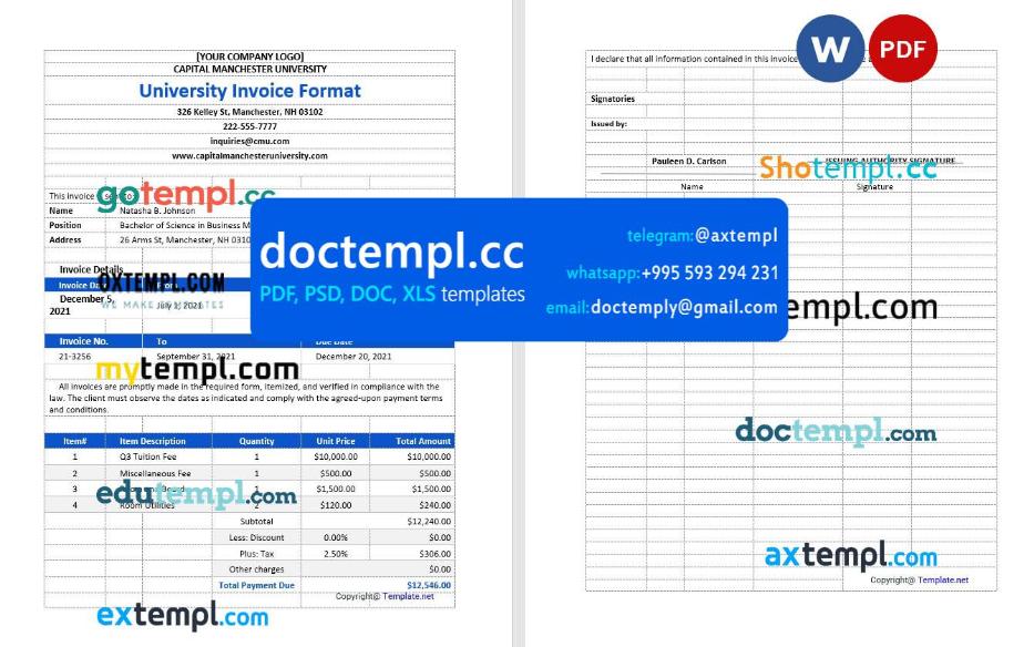 Sample University Invoice template in word and pdf format