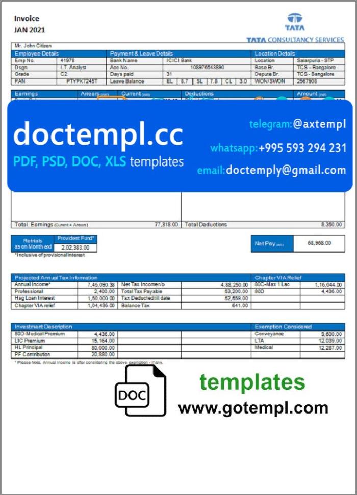 USA Tata Consulting Services invoice template in Word and PDF format ...