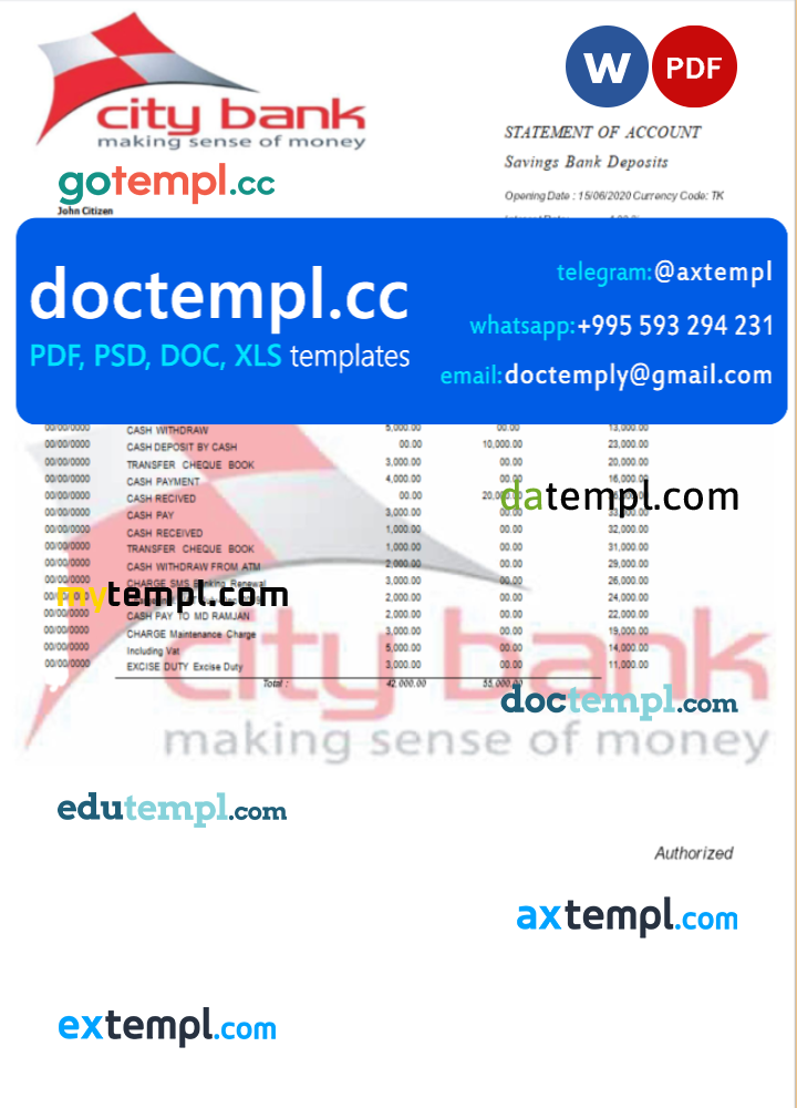 USA City Bank statement Word and PDF template