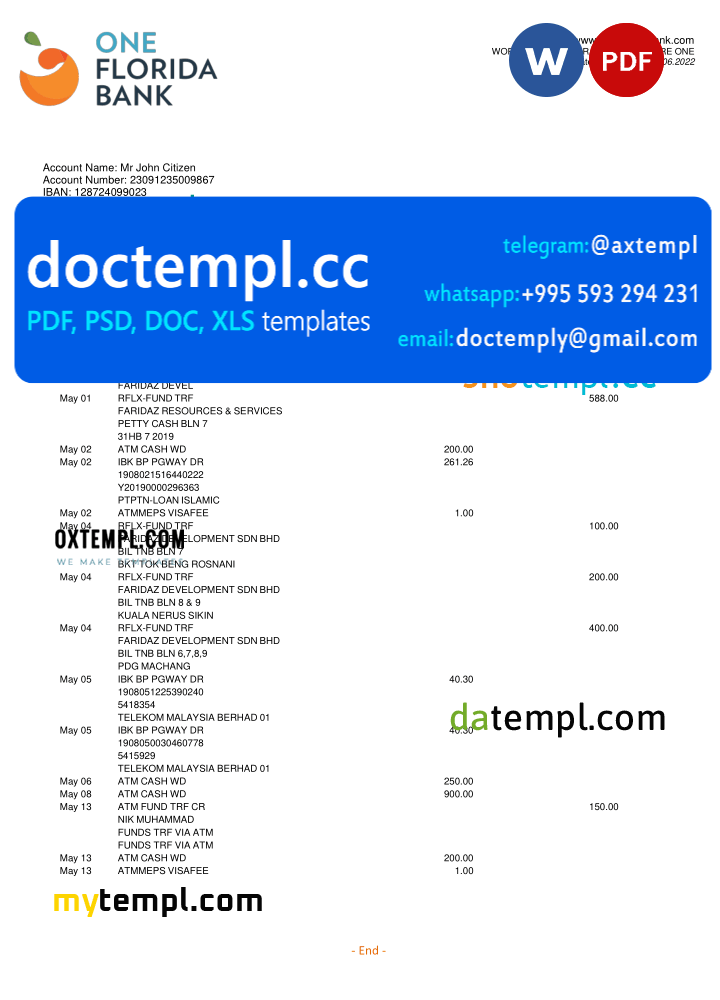 USA One Florida bank statement, Word and PDF template