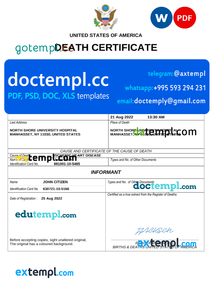 USA vital record death certificate Word and PDF template