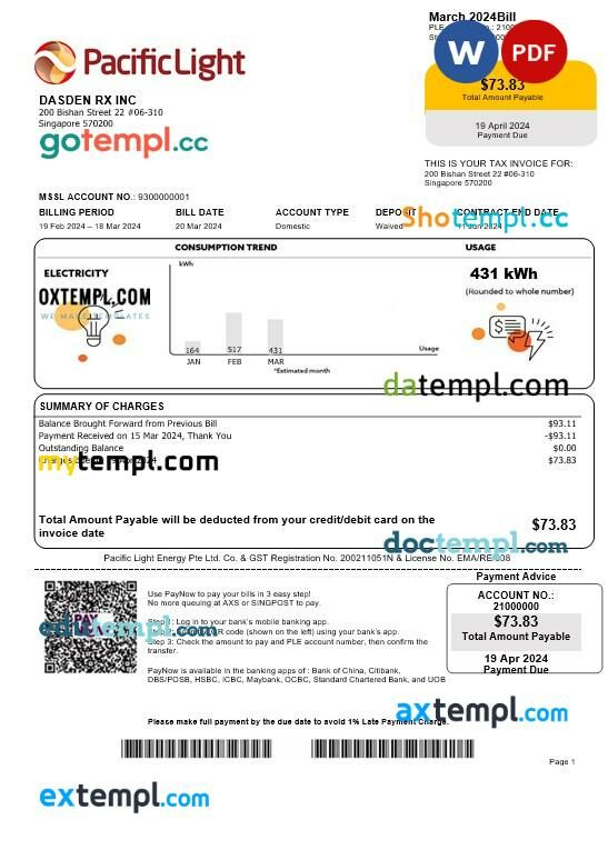 Singapore Pacific Light electricity business utility bill template in ...