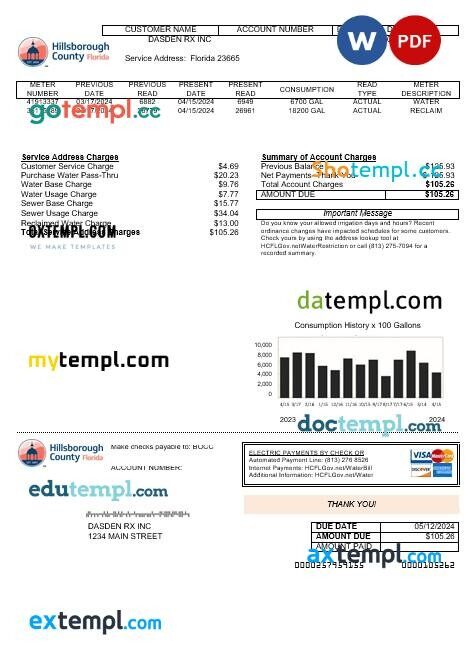 USA Hillsborough County business utility bill template in Word and PDF ...