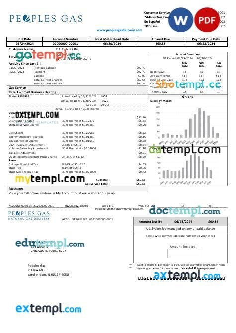 USA Illinois Peoples Gas business utility bill template in Word and PDF ...