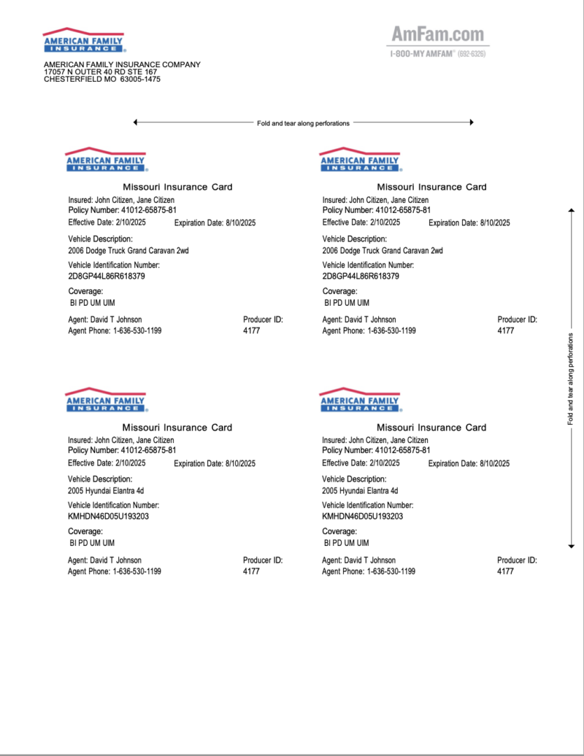 American Family Insurance Missouri insurance card Word and PDF template